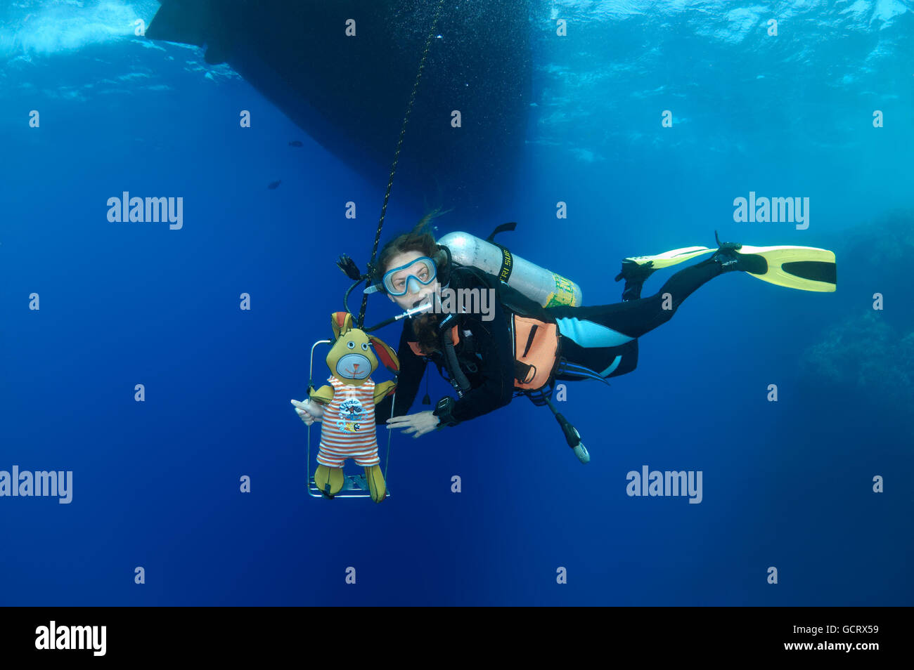 Female scuba diver next to the doll on the safety stop in blue water ...