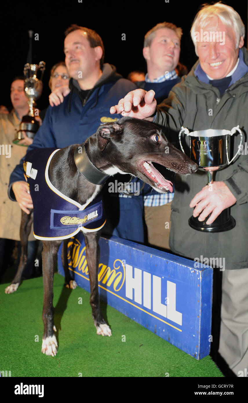 Greyhounds - Williamhill.com St. Leger Final - Wimbledon Greyhound ...