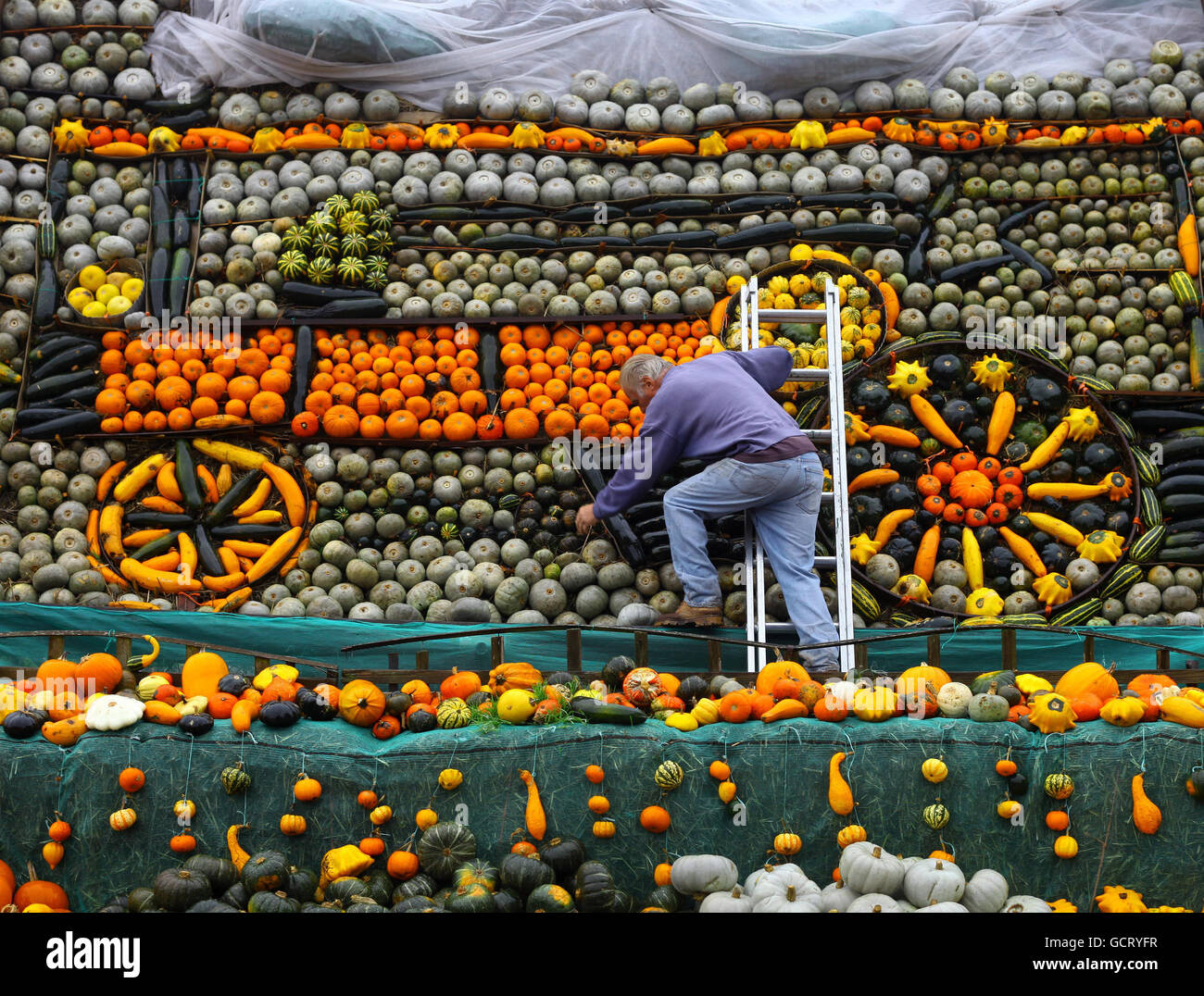 Tony smith of slindon pumpkins hi-res stock photography and images - Alamy