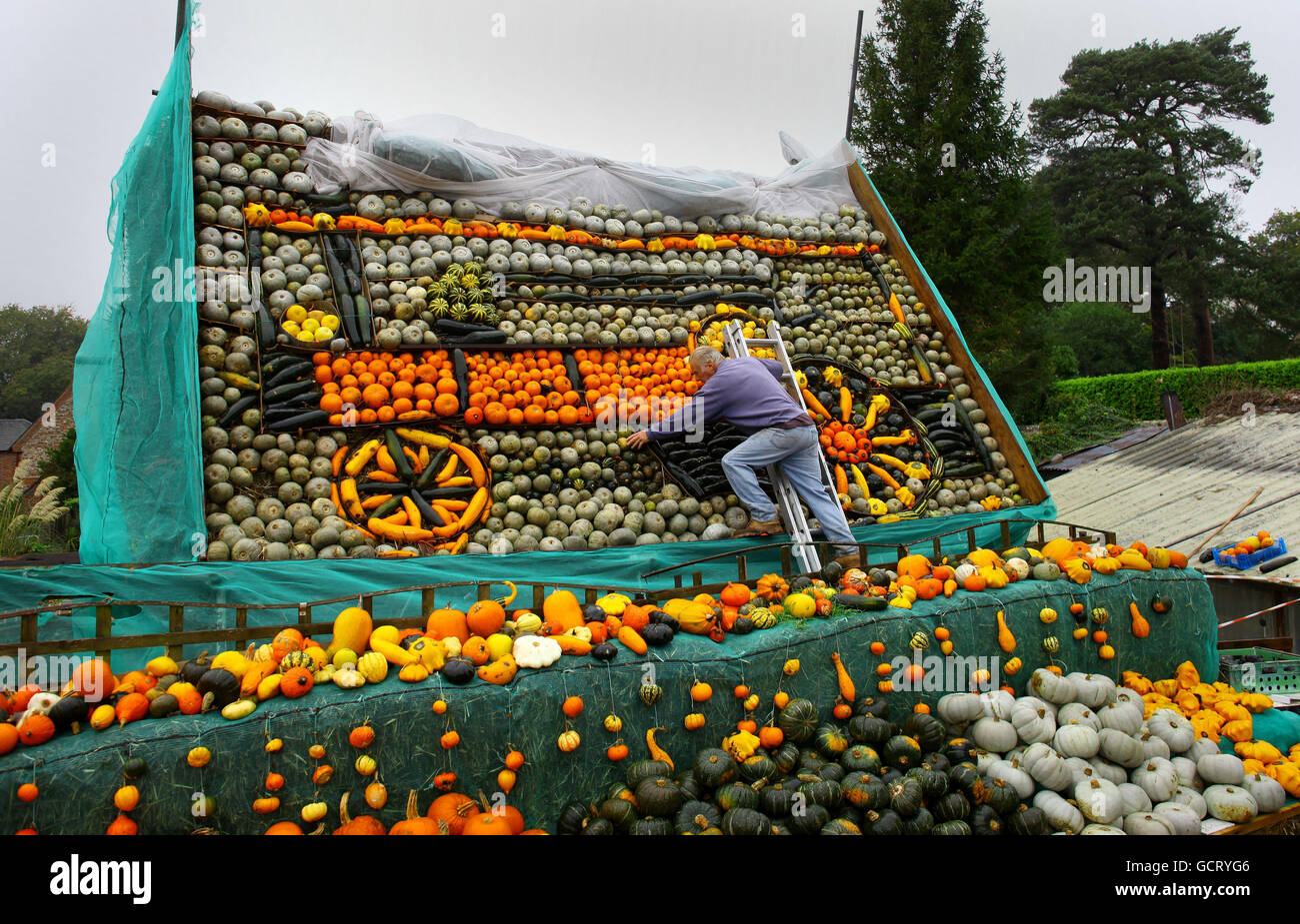 Tony smith of slindon pumpkins hi-res stock photography and images - Alamy