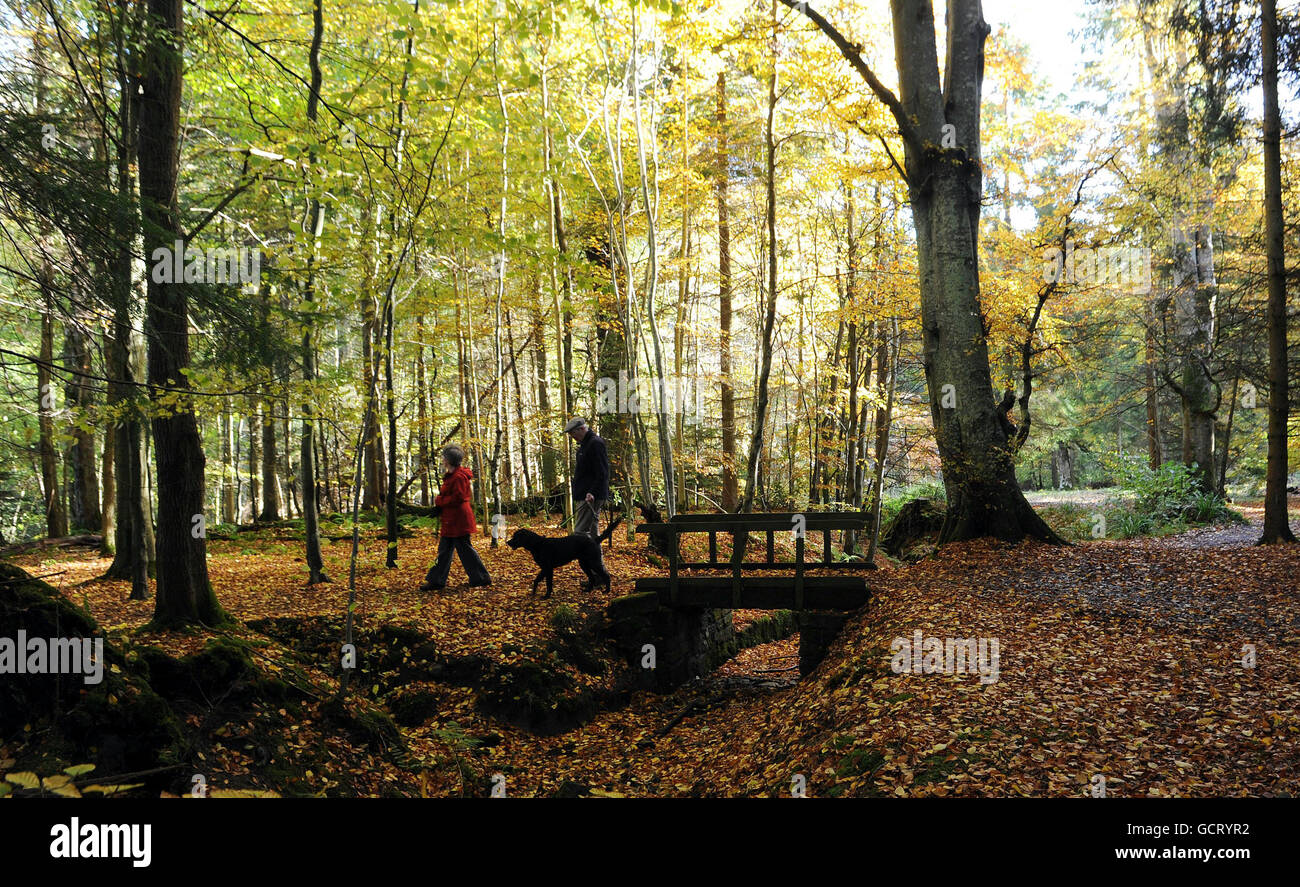 Walkers enjoy the autumnal scene in the grounds of Wallington Hall ...