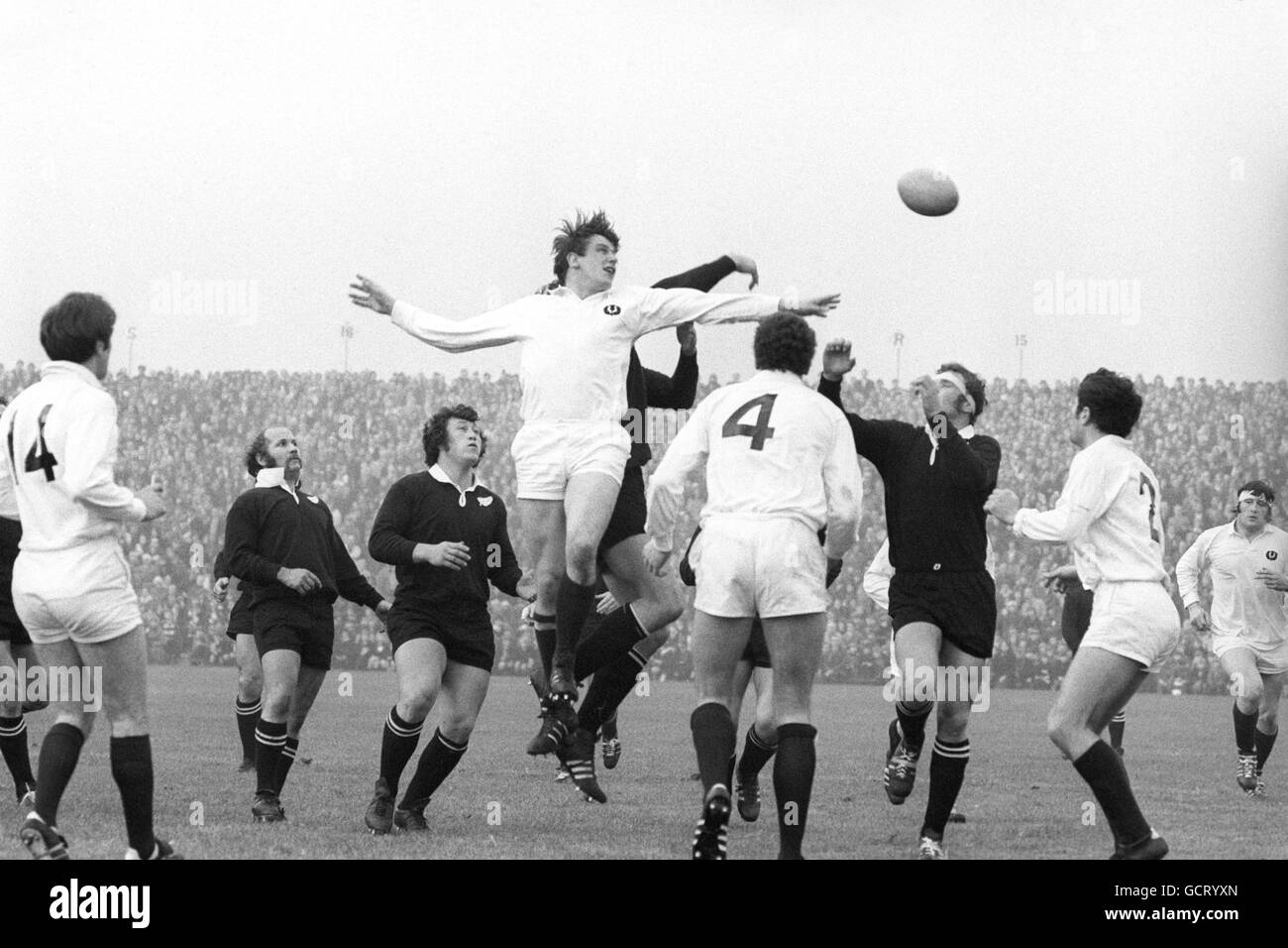 Peter brown rugby hi-res stock photography and images - Alamy