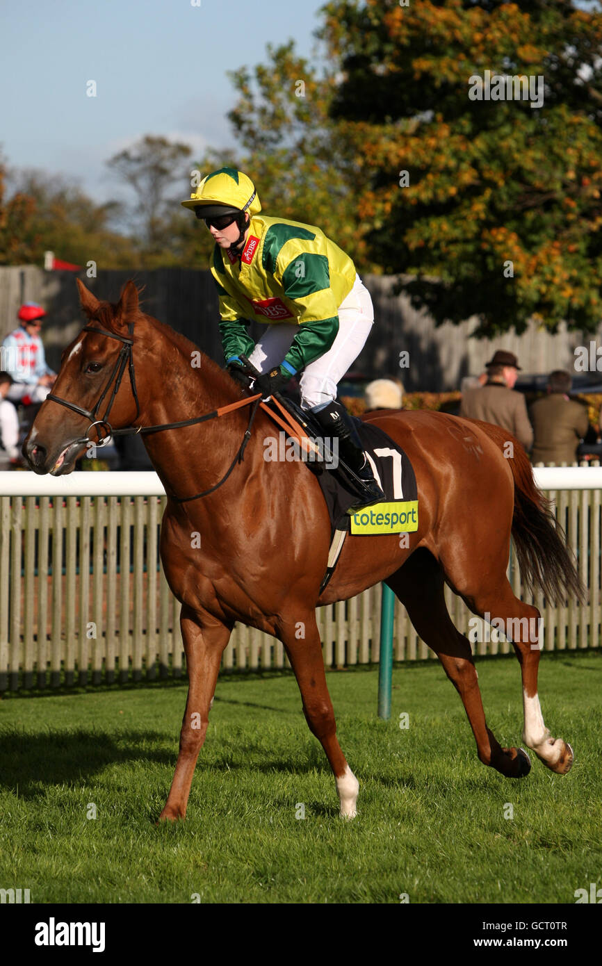 Horse Racing - Autumn Weekend - Newmarket Racecourse Stock Photo - Alamy
