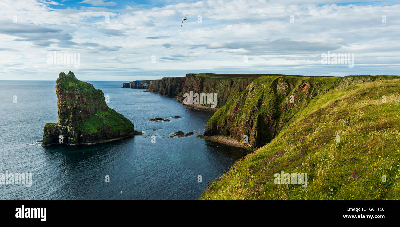 Stacks of Duncansby and the rugged coastline of Duncansby Head ...