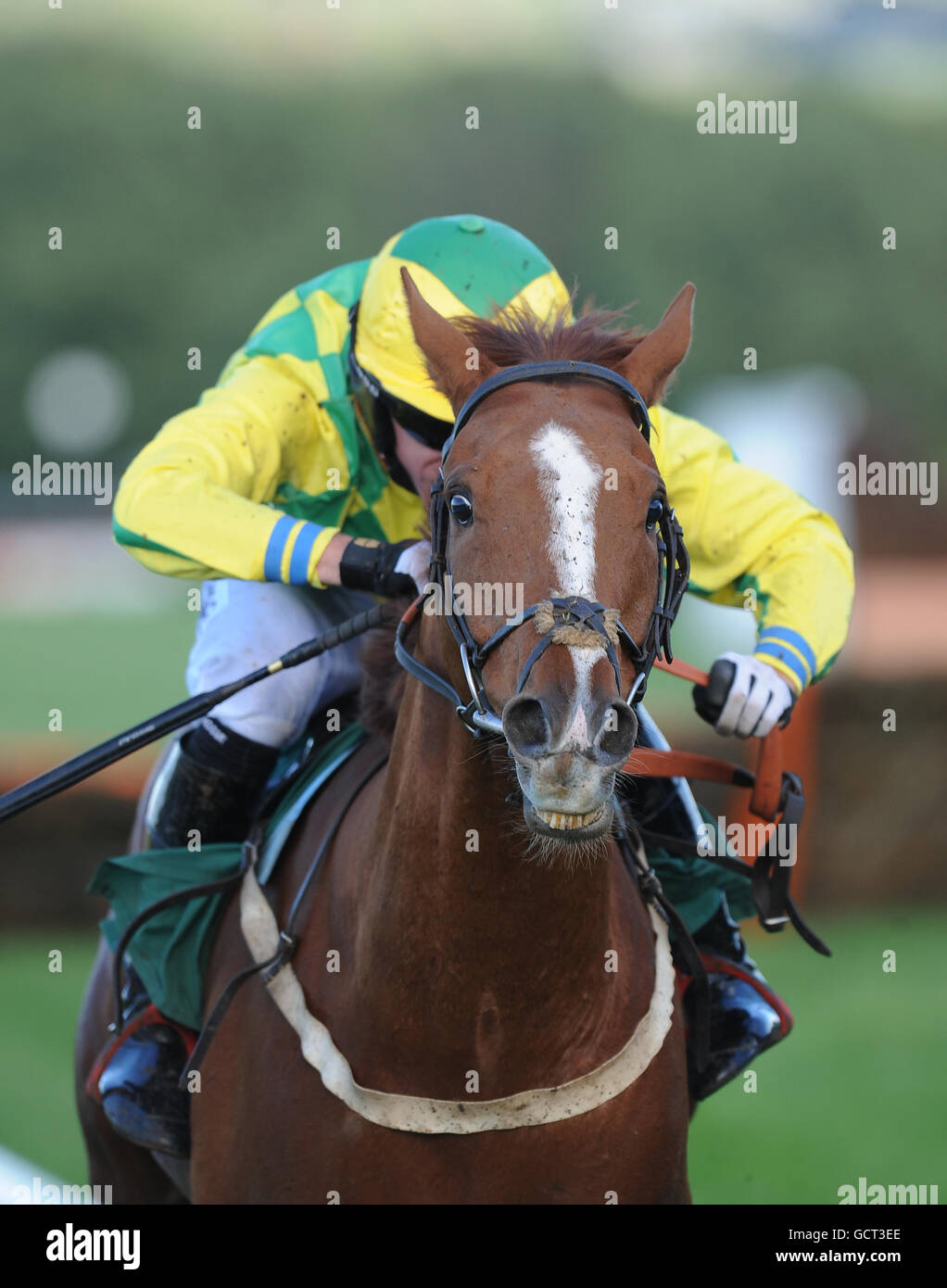 Horse Racing - Towcester Racecourse Stock Photo - Alamy