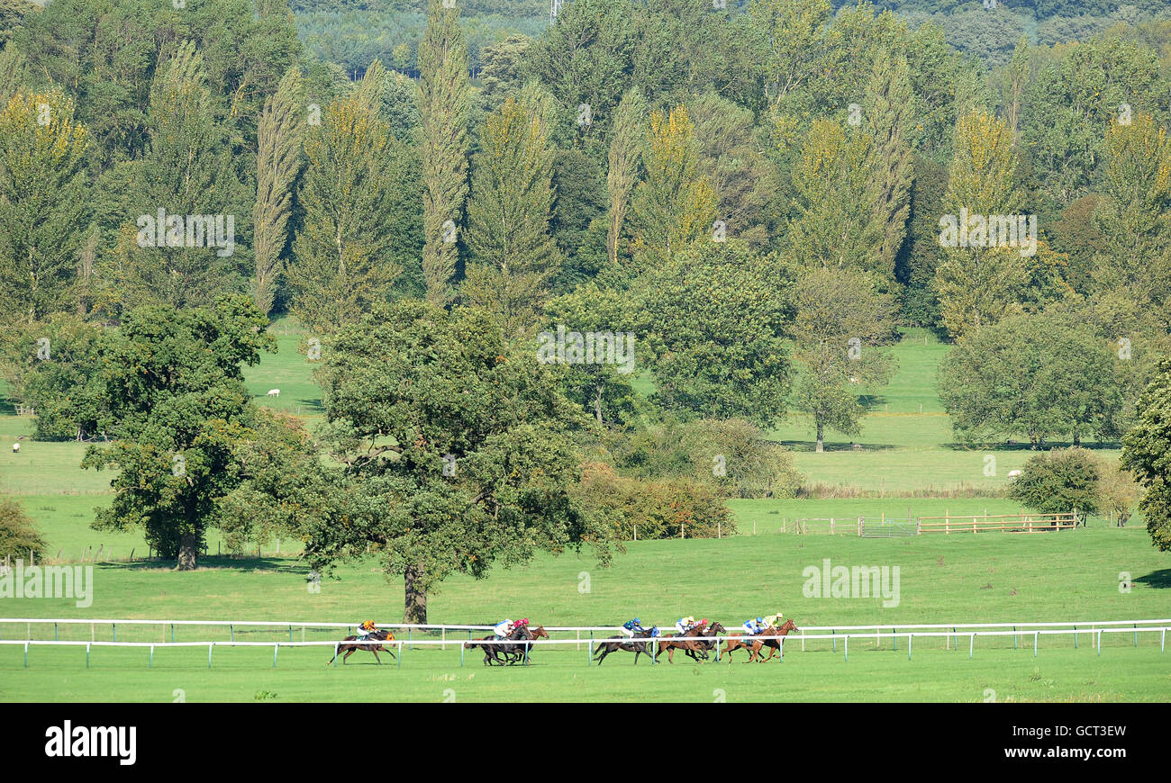 Horse Racing - Towcester Racecourse. Racing at Towcester Stock Photo ...