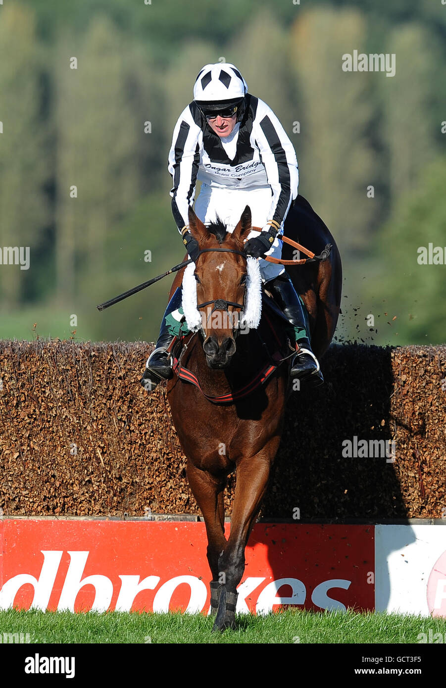 Horse Racing - Towcester Racecourse Stock Photo - Alamy