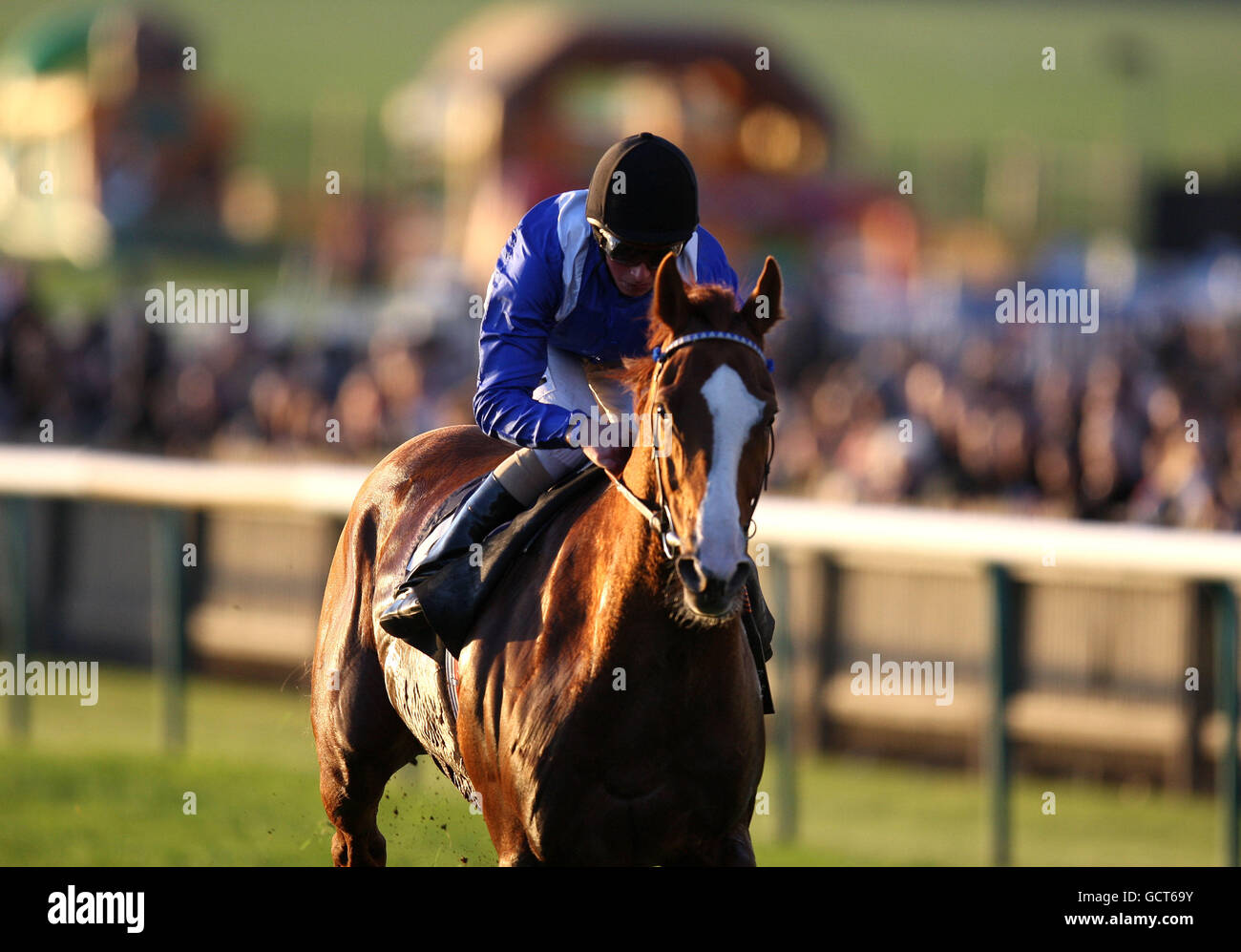 Horse Racing - Autumn Weekend - Newmarket Racecourse Stock Photo - Alamy