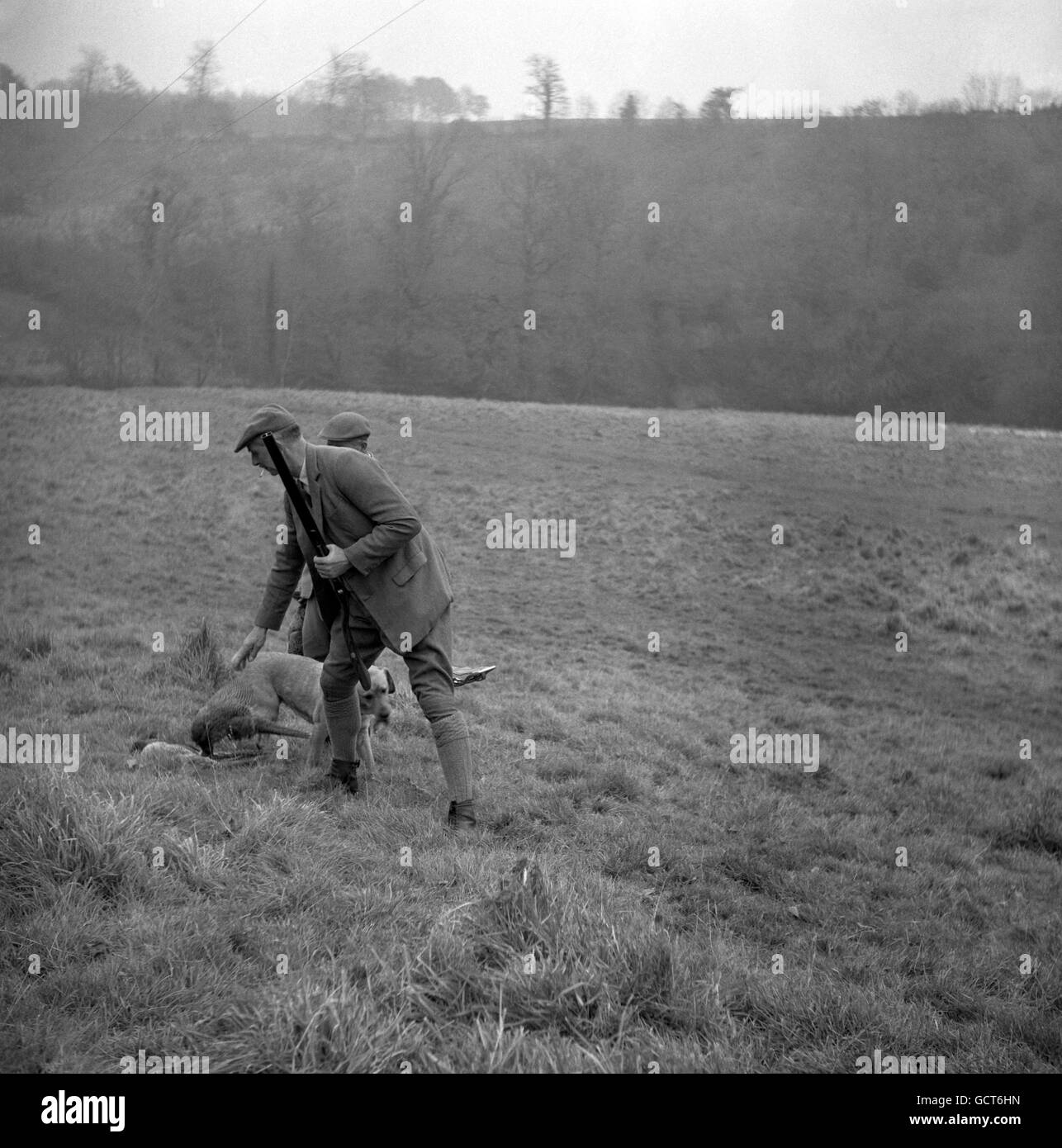 Shooting - Game Birds - Affeton Castle Stock Photo - Alamy