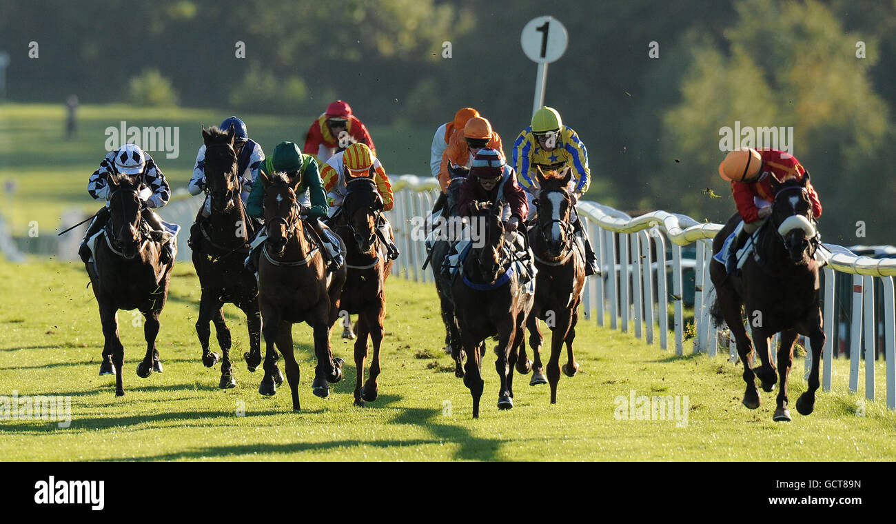 Horse Racing - Leicester Racecourse Stock Photo - Alamy