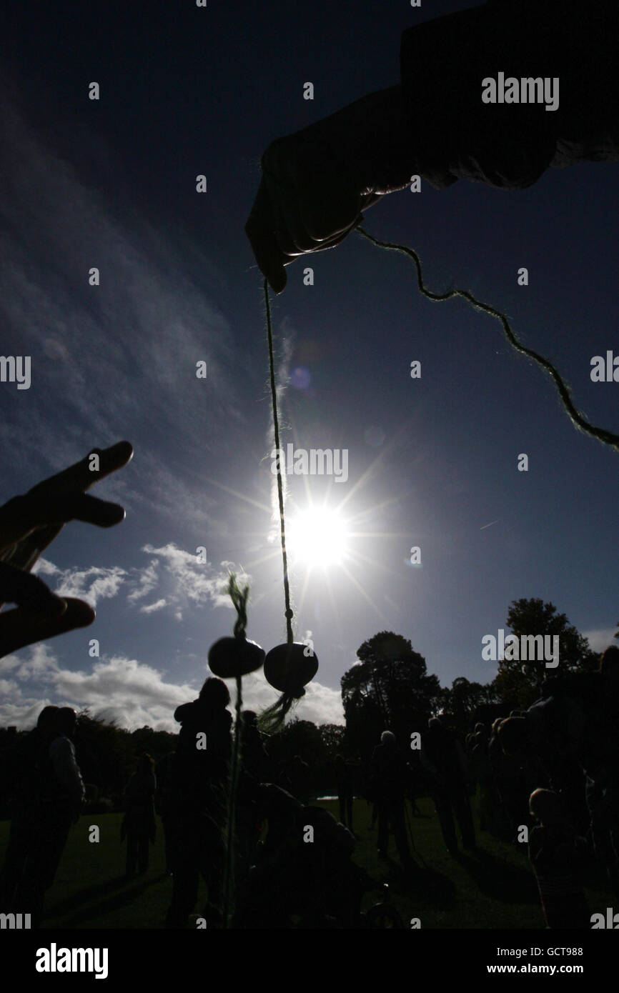 Conkers world record attempt hi-res stock photography and images - Alamy
