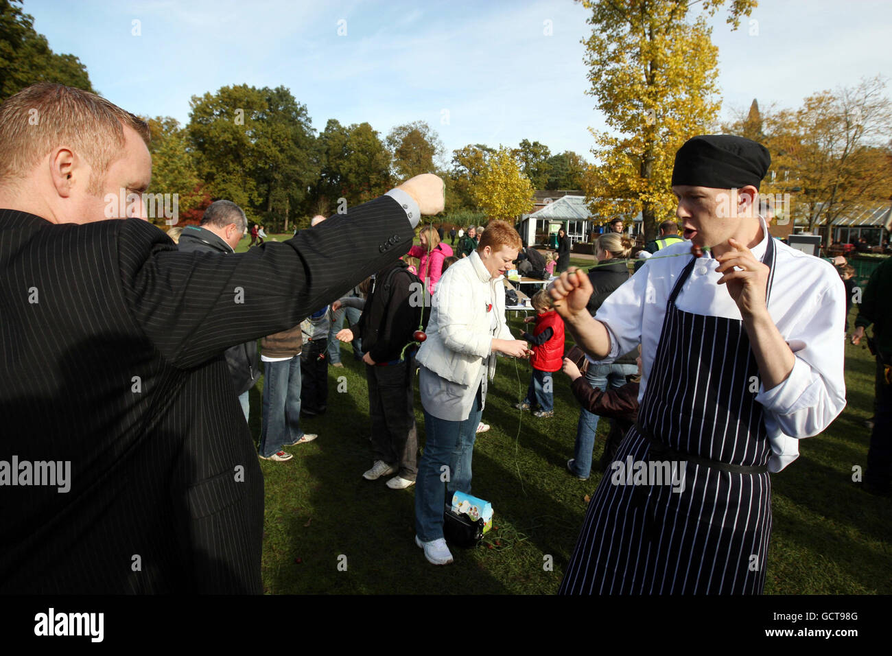 Conkers world record attempt hi-res stock photography and images - Alamy