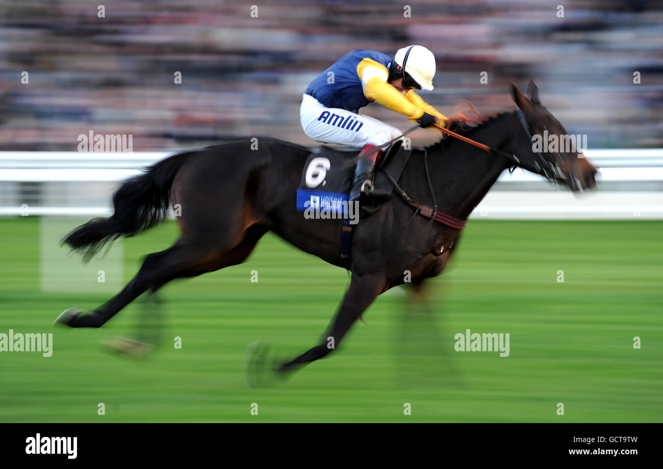PERSIAN SNOW ridden by Richard Johnson wins TheChyps Childrens Hospice ...