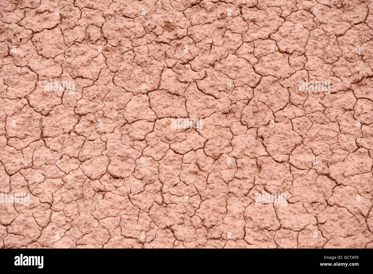 Mud cracks fossil hi-res stock photography and images - Alamy