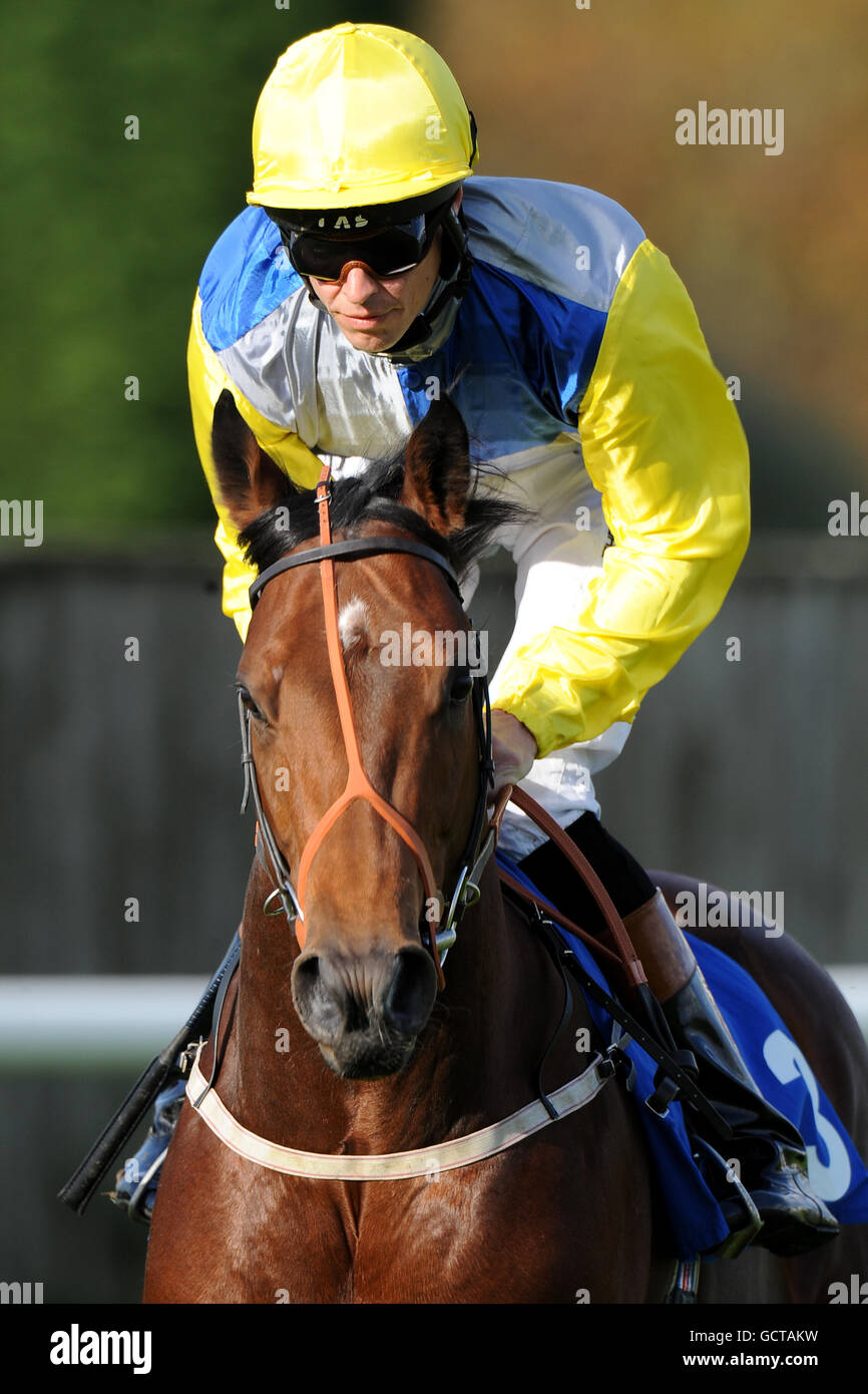 Horse Racing - Nottingham Racecourse Stock Photo - Alamy