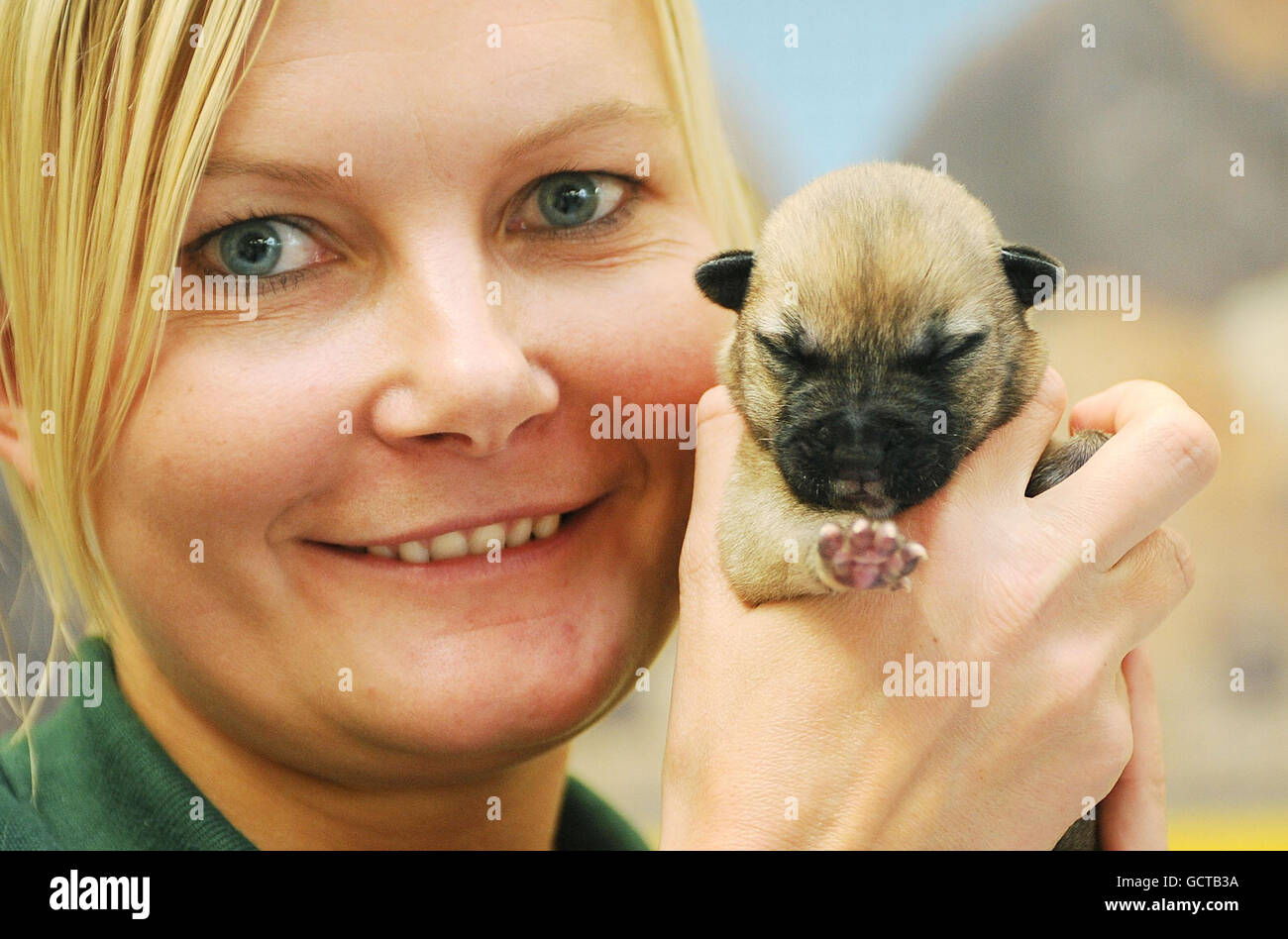 Leeds dogs trust hi-res stock photography and images - Alamy