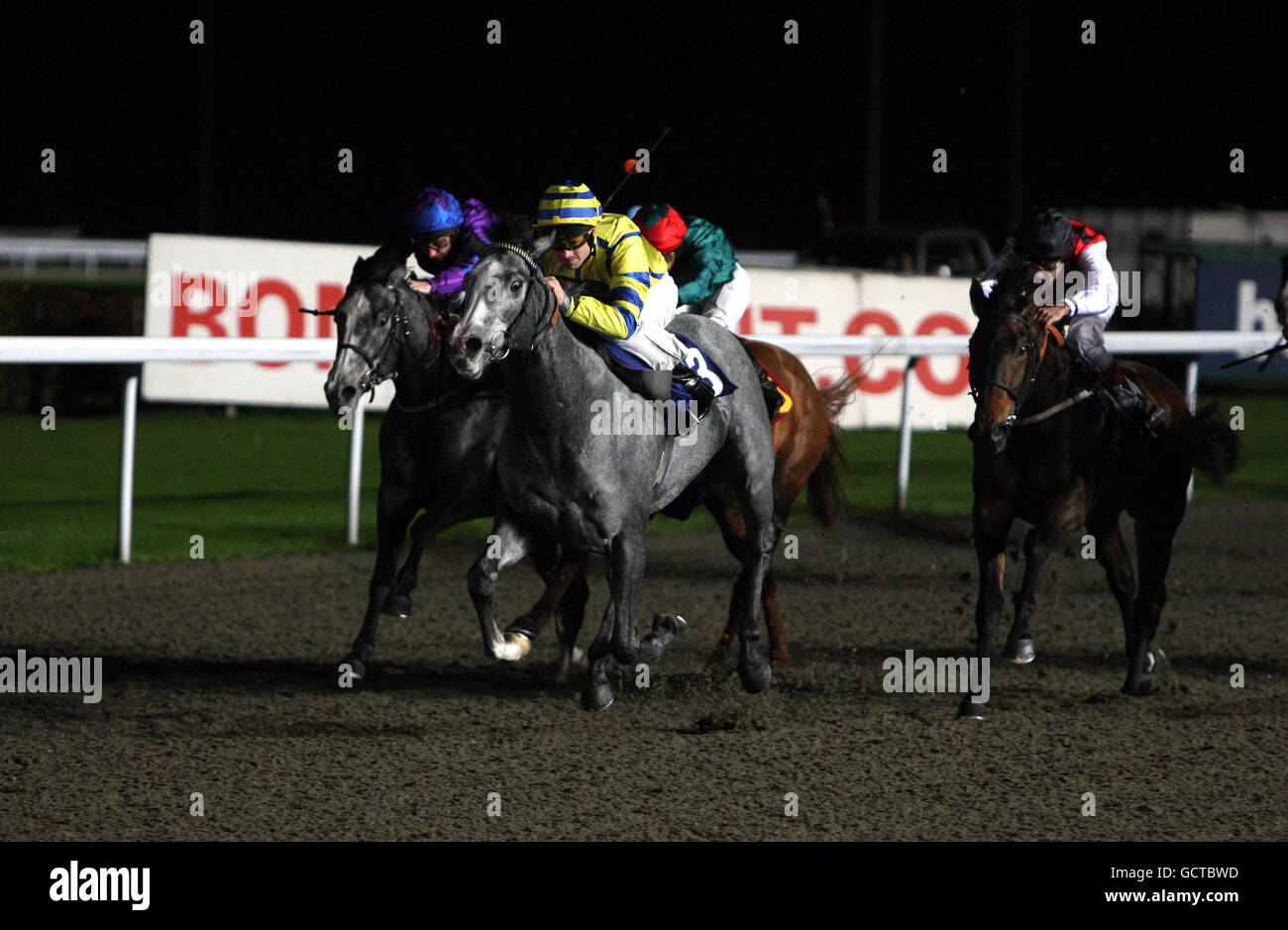 Horse Racing - Kempton Park Racecourse Stock Photo - Alamy