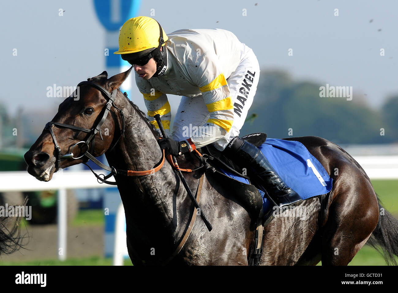 Horse racing weatherbys jump meeting kempton park hi-res stock ...