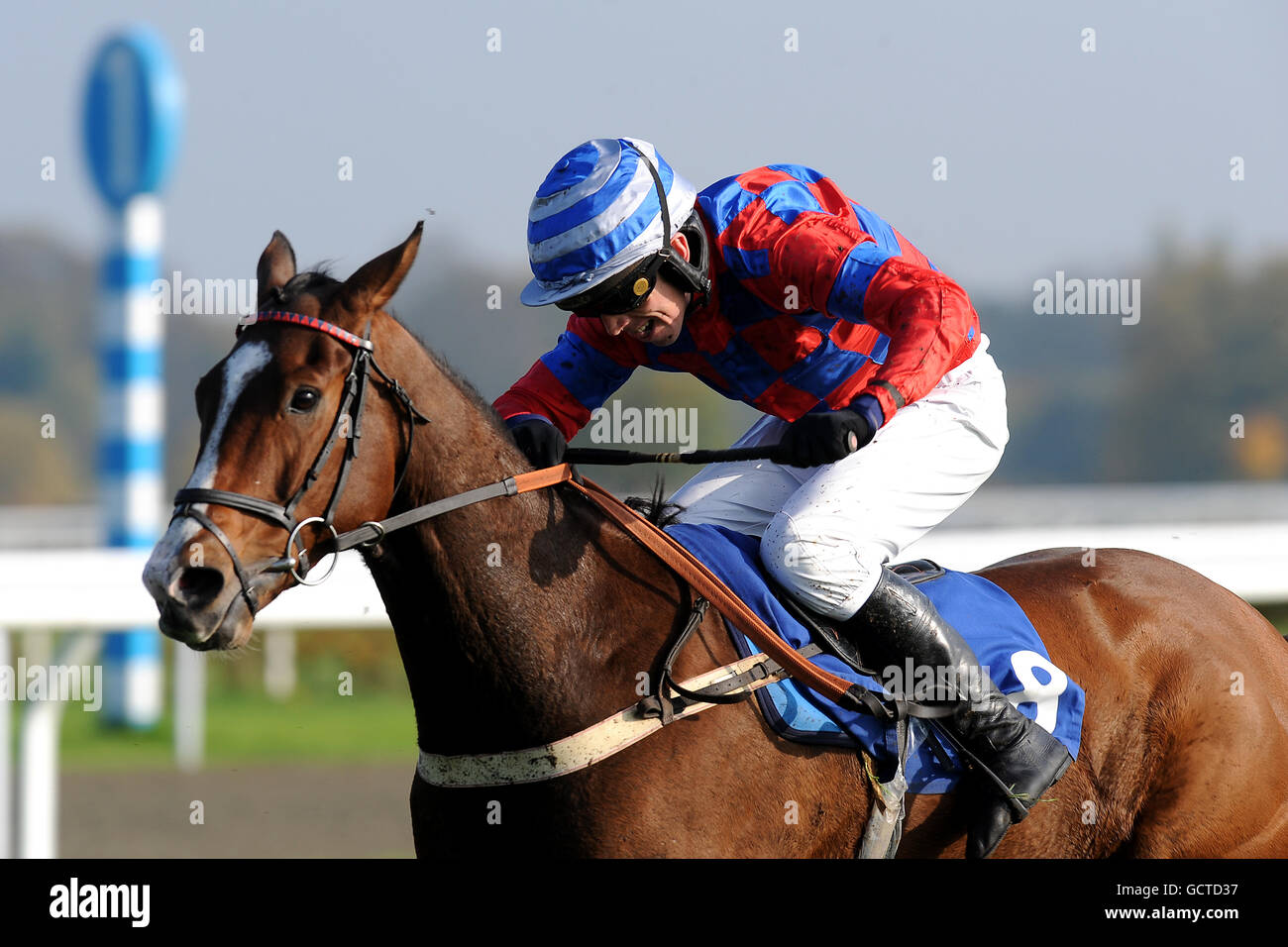 Horse Racing - Weatherbys Jump Meeting - Kempton Park Stock Photo - Alamy
