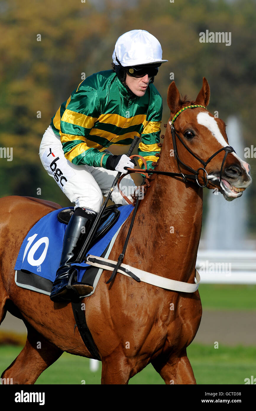 Horse racing weatherbys jump meeting kempton park hi-res stock ...