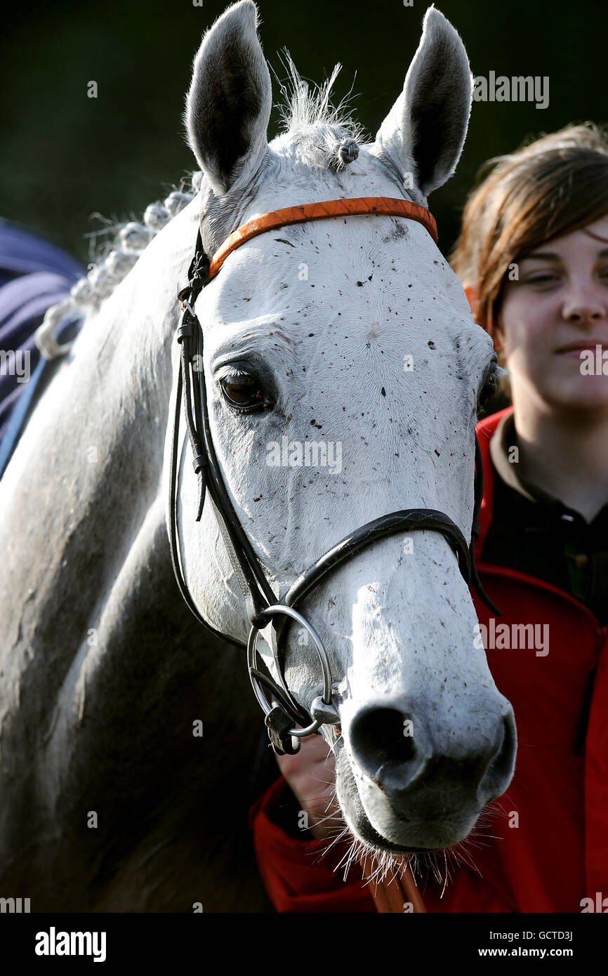 Horse racing weatherbys jump meeting kempton park hi-res stock ...