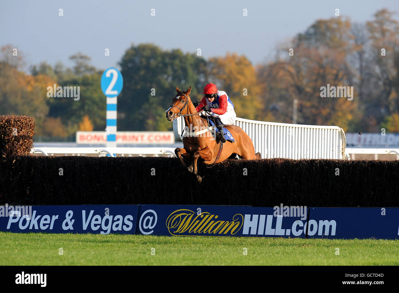 Jockey Jamie Goldstein on Golan Way during the Weatherbys Bloodstock ...