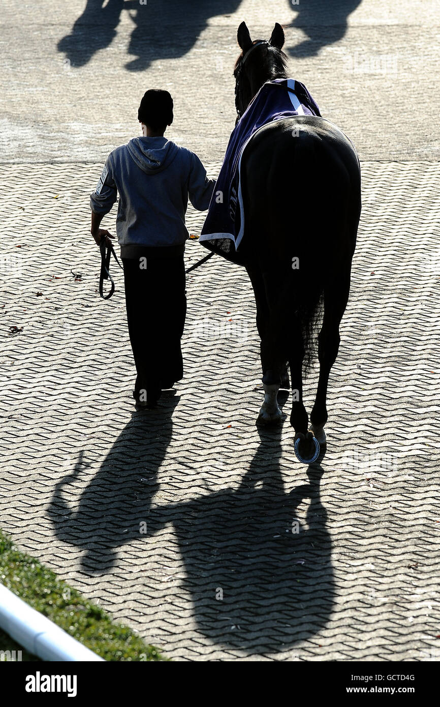 Horse racing weatherbys jump meeting kempton park hi-res stock ...