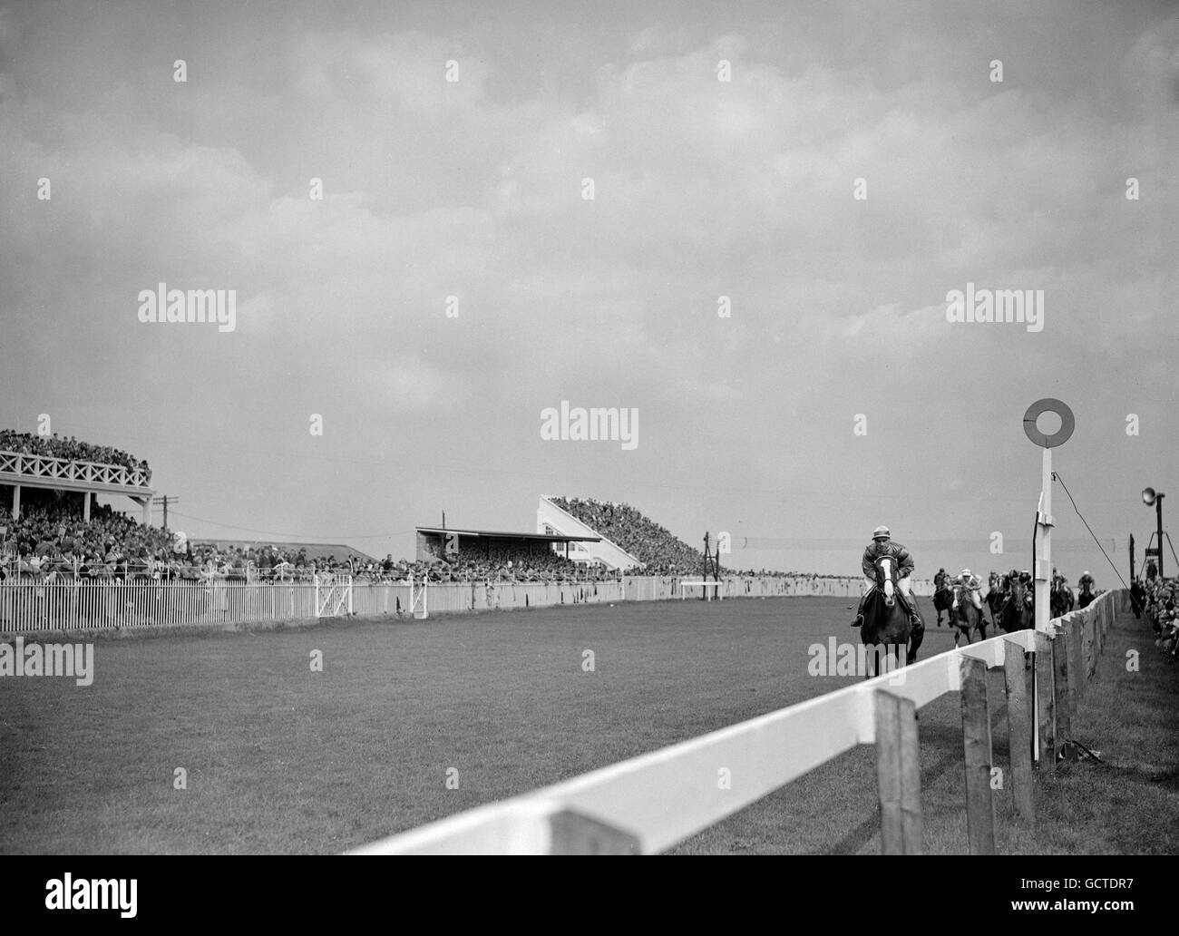 Fillies plate Black and White Stock Photos & Images - Alamy