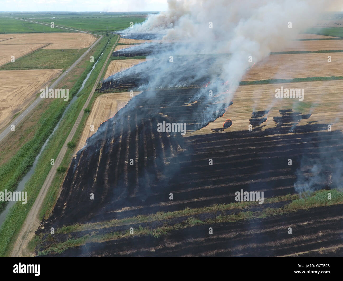 Burning straw in the fields of wheat after harvesting. The pollution of ...