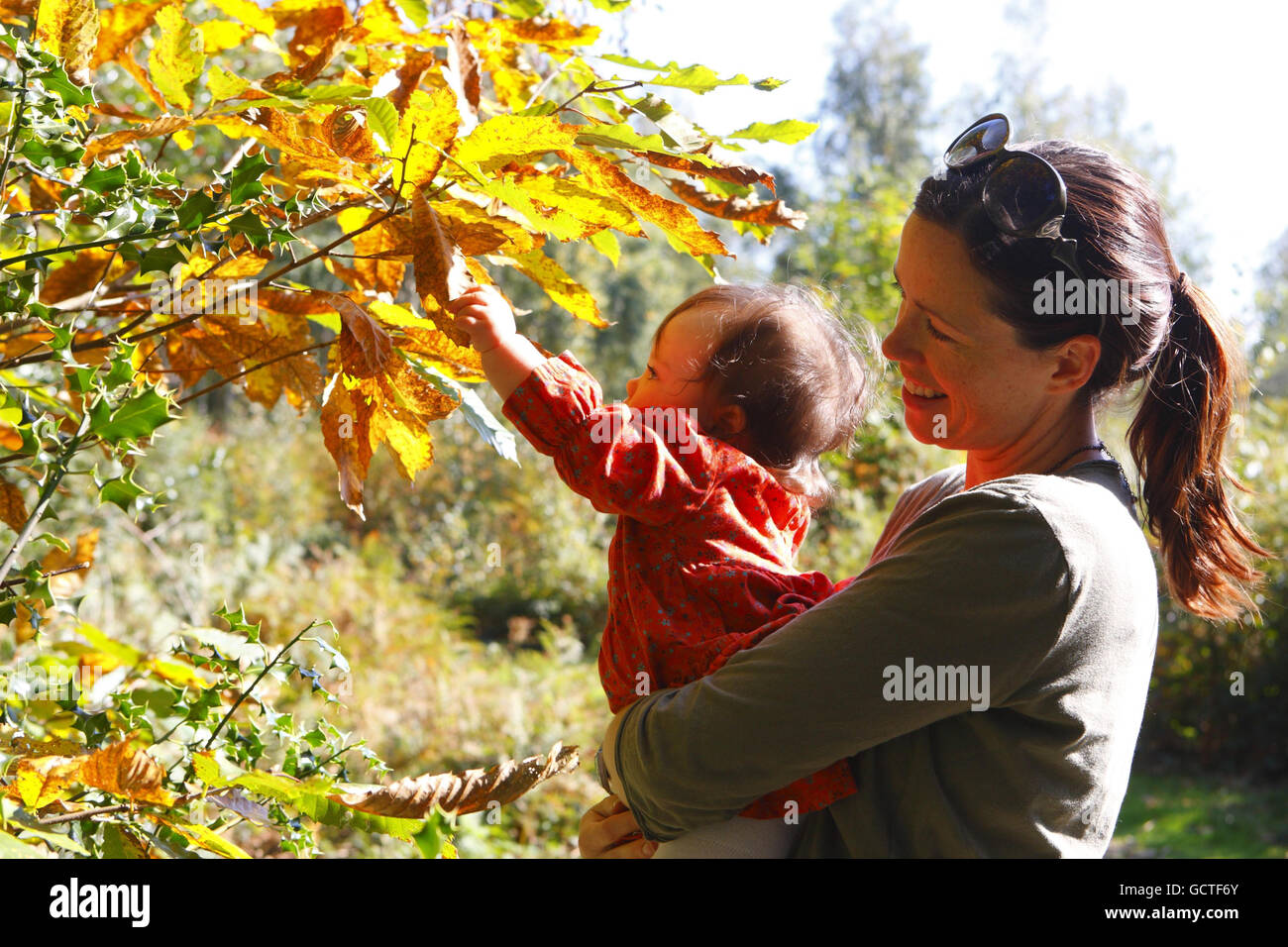 Weather October 10th Stock Photo - Alamy