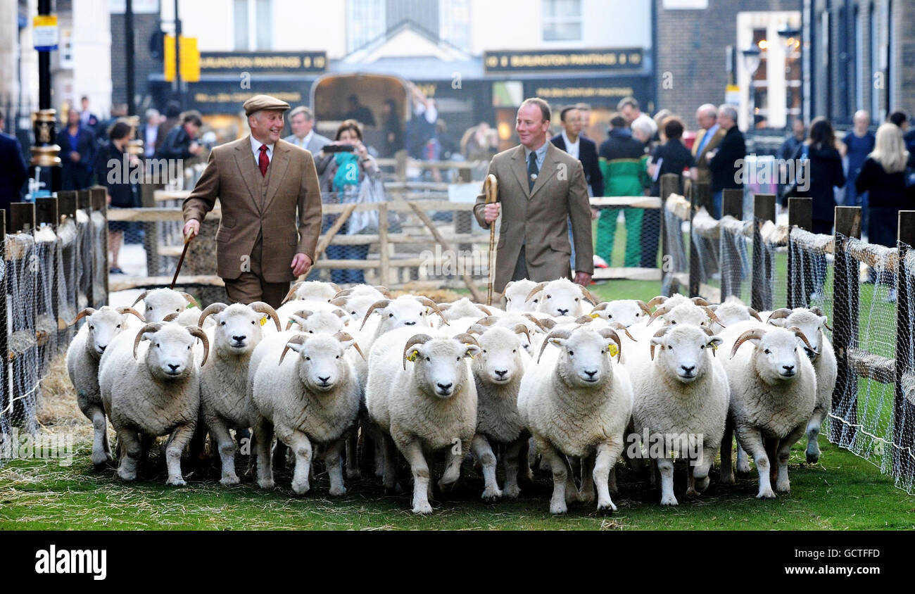 Owner Harry Wiltshire (left) and shepherd Ben Blackmore (right ...