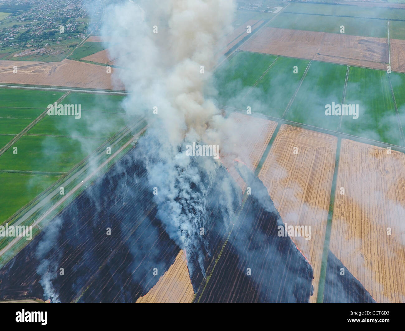 Burning straw in the fields of wheat after harvesting. The pollution of ...