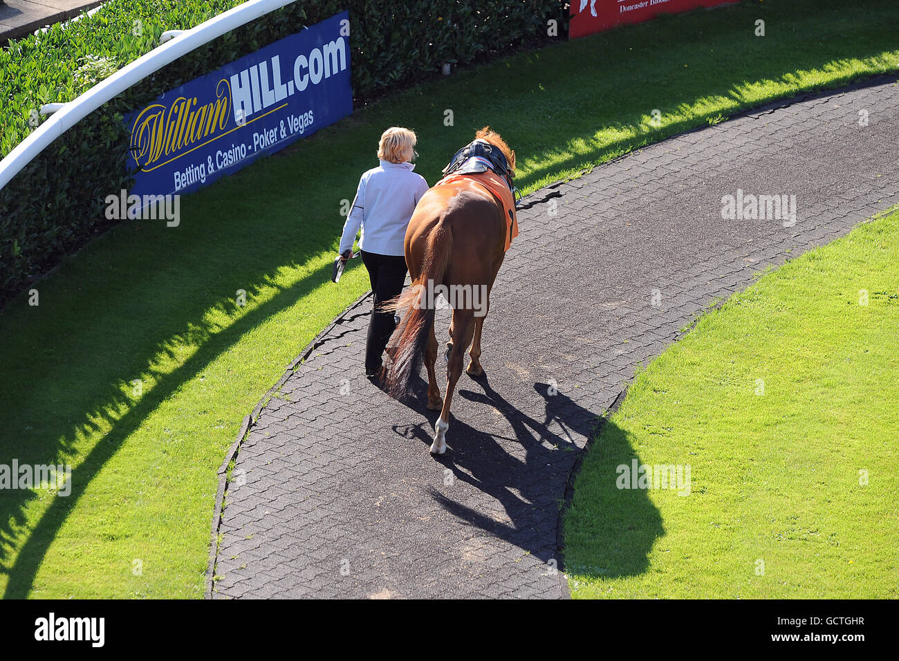 Horse Racing, Kempton Park. A Horse in the Parade Ring Stock Photo - Alamy
