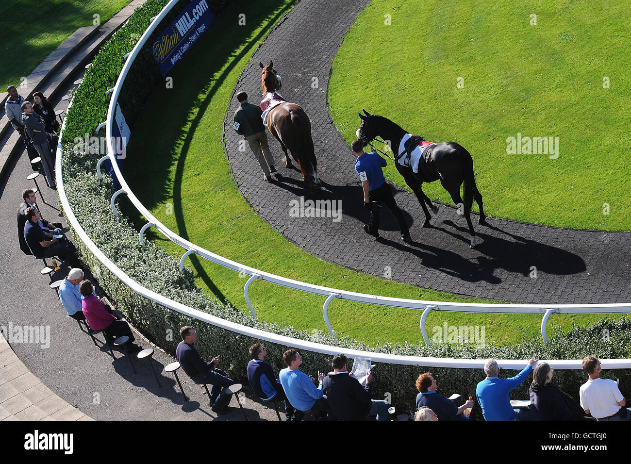 Horses in the parade ring hi-res stock photography and images - Alamy