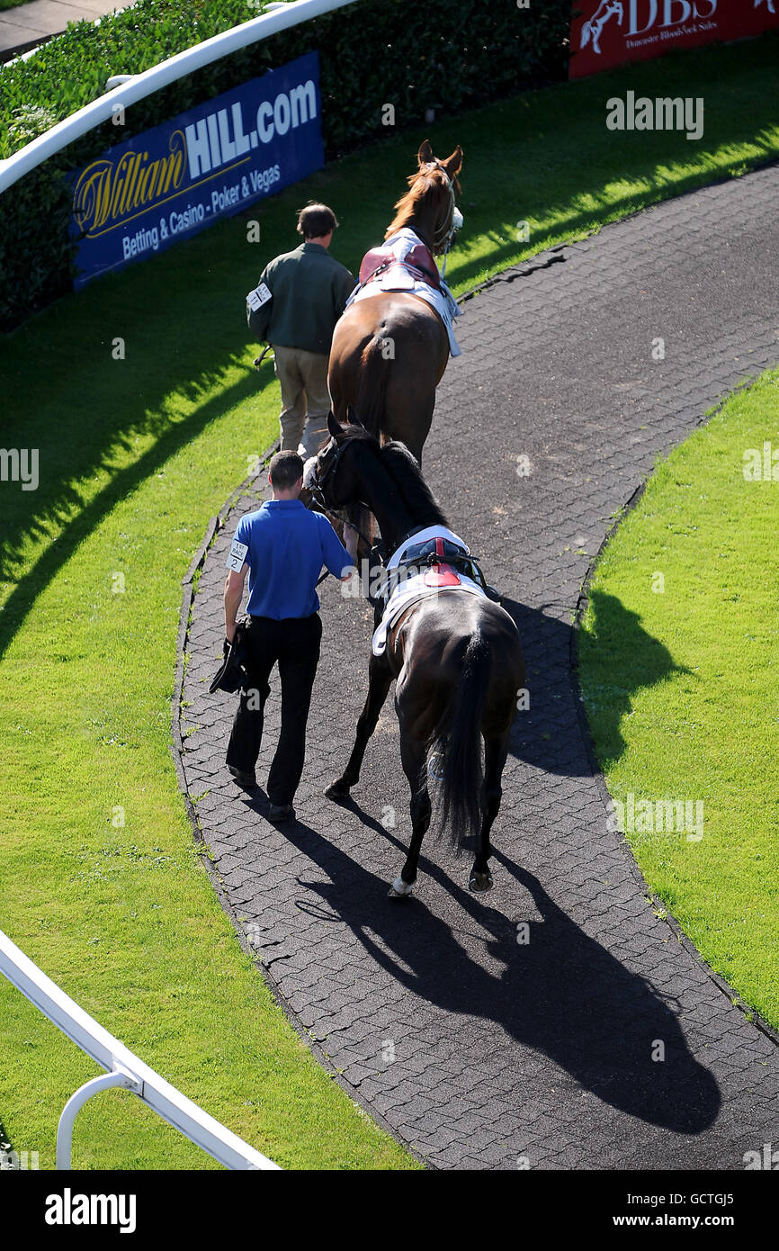 Horse Racing - Kempton Park. Horse's in the Parade Ring Stock Photo - Alamy