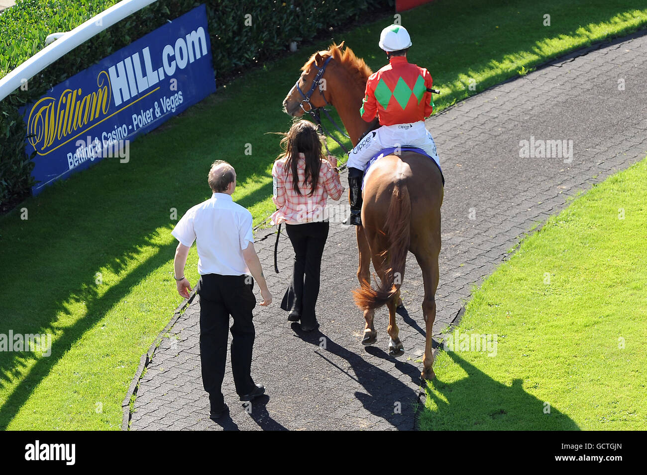 Horse Racing - Kempton Park. A Horse in the Parade Ring Stock Photo - Alamy