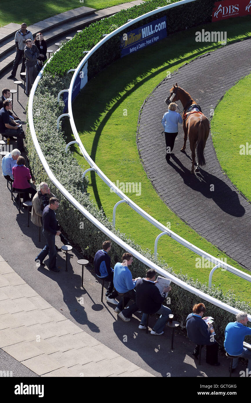 General view of the parade ring at kempton park hi-res stock ...