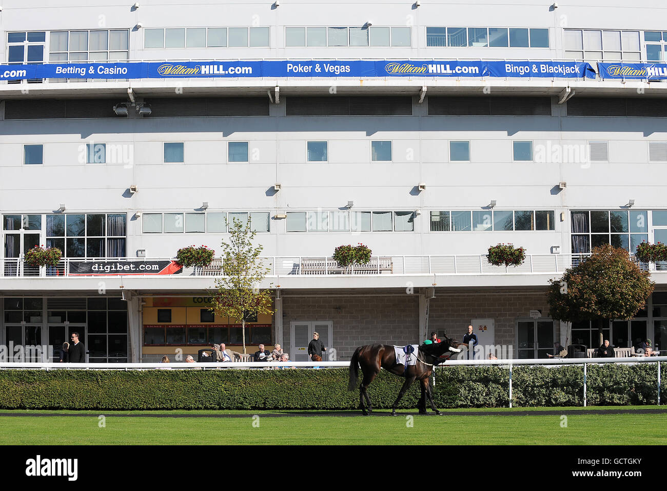 Horse Racing - Kempton Park. A horse in the parade ring Stock Photo - Alamy