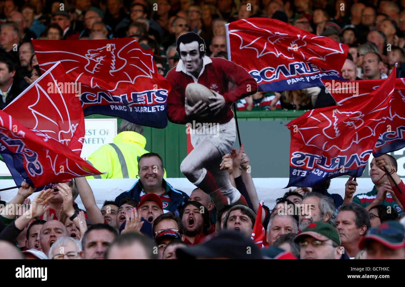 Llanelli Scarlets fans show their support in the stands as they display ...