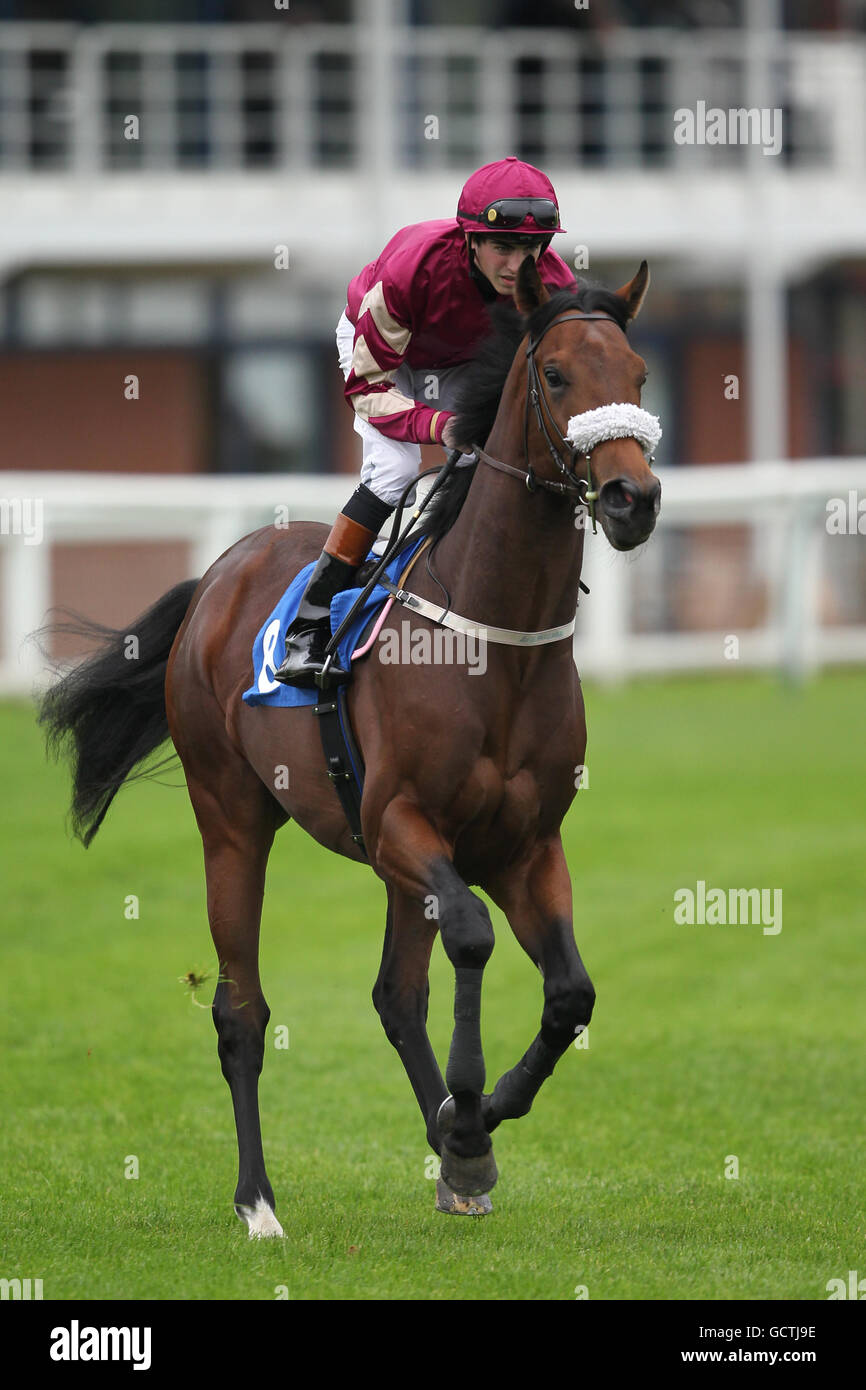 Horse Racing - Construction and Industry Day - Nottingham Racecourse ...