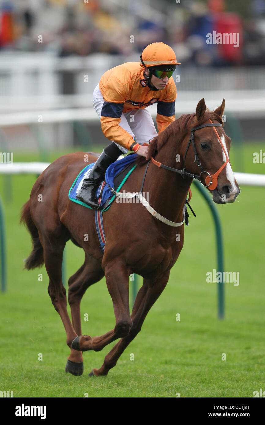 Horse Racing - Construction and Industry Day - Nottingham Racecourse ...