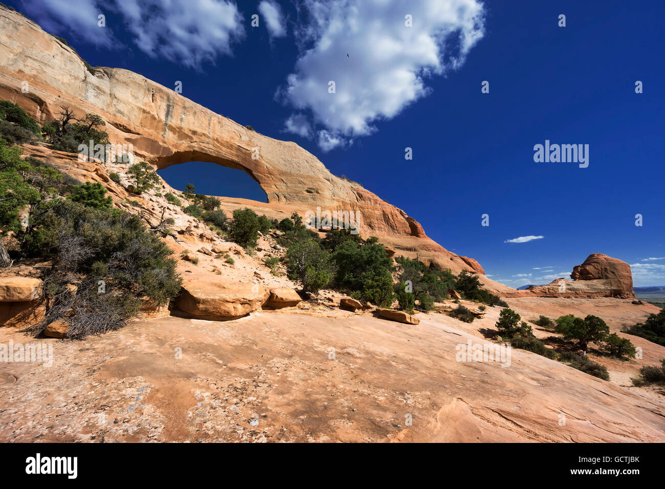 Wilsons arch hi-res stock photography and images - Alamy