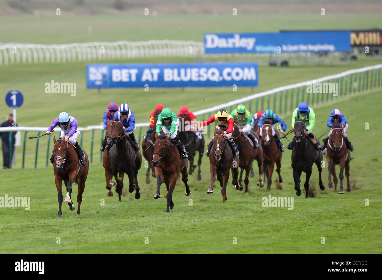 Horse racing races bluesquare signage blue square hi-res stock ...