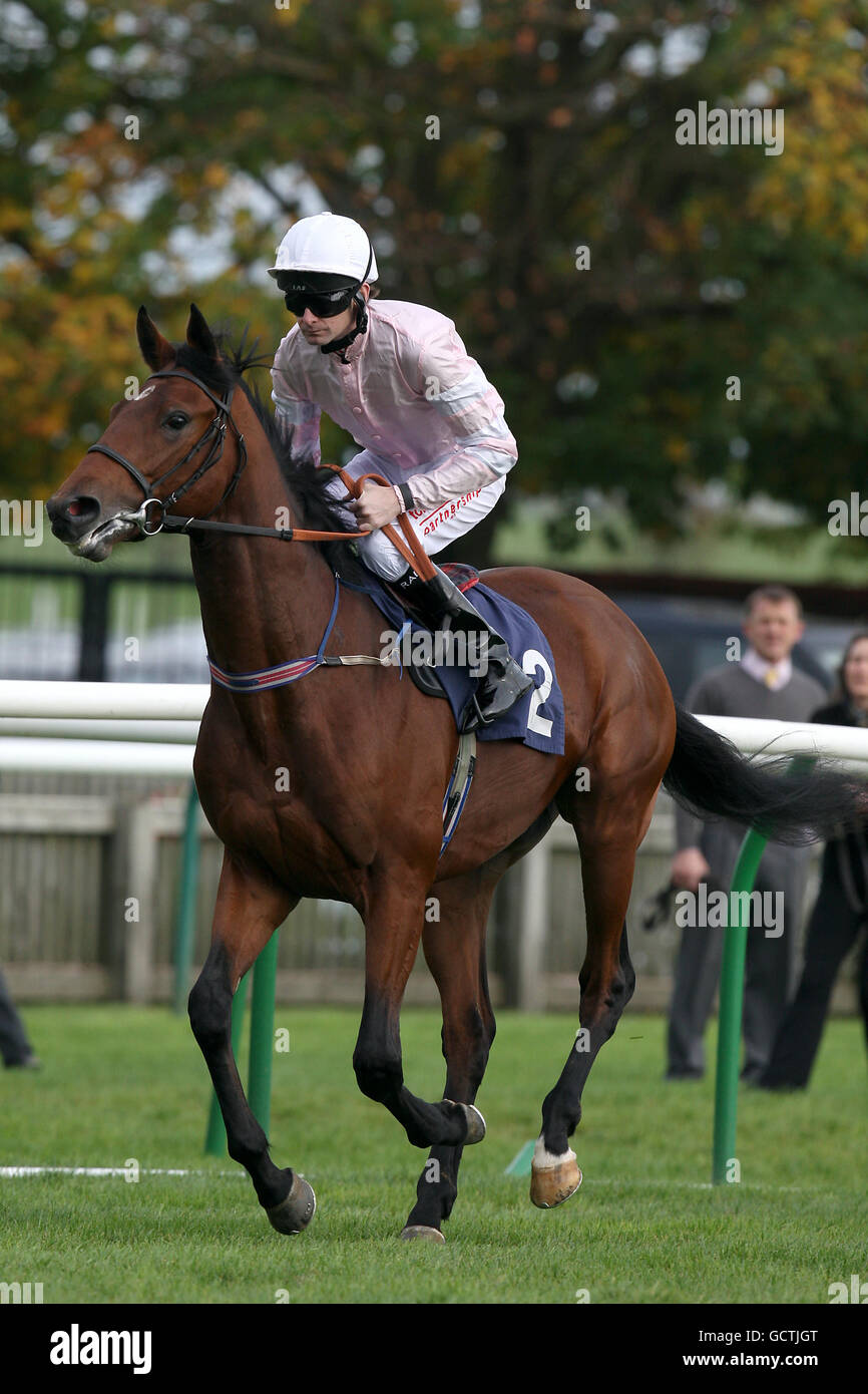 Jockey Robert Havlin on Loving Spirit goes to post for the Bet At ...