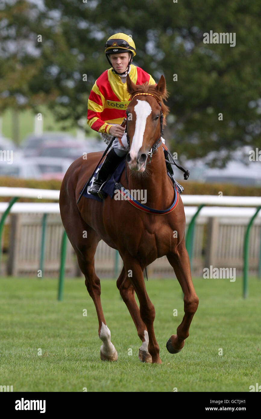 Newmarket jamaica hi-res stock photography and images - Alamy