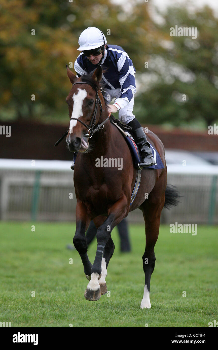Jockey Jimmy Fortune on Runaway goes to post for the Richard Hambro ...