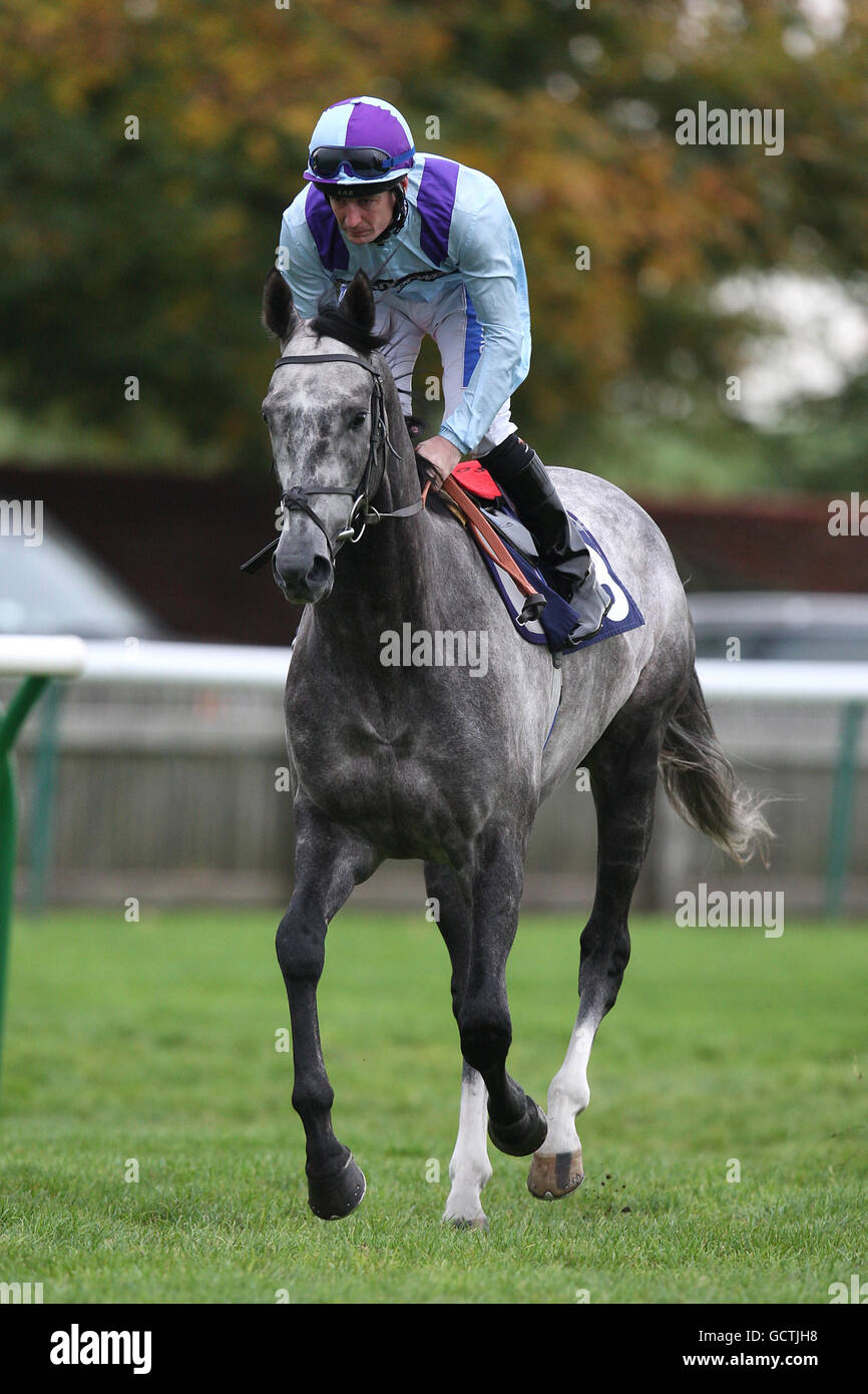 Horse Racing - Newmarket Racecourse. Jockey Steve Drowne on Cockney ...