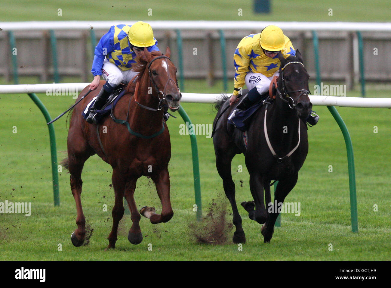 Horse Racing - Newmarket Racecourse Stock Photo - Alamy