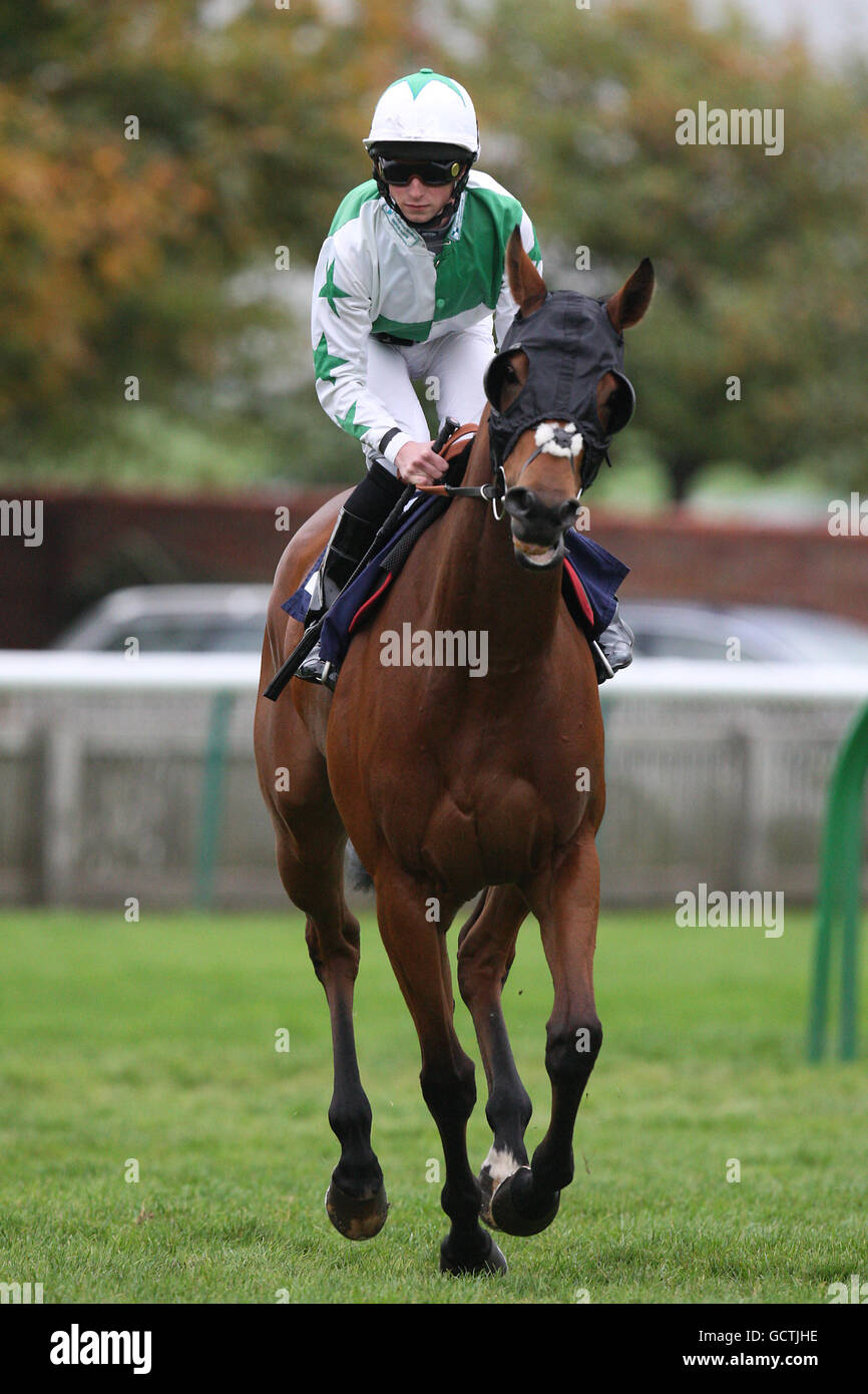 Horse Racing - Newmarket Racecourse Stock Photo - Alamy