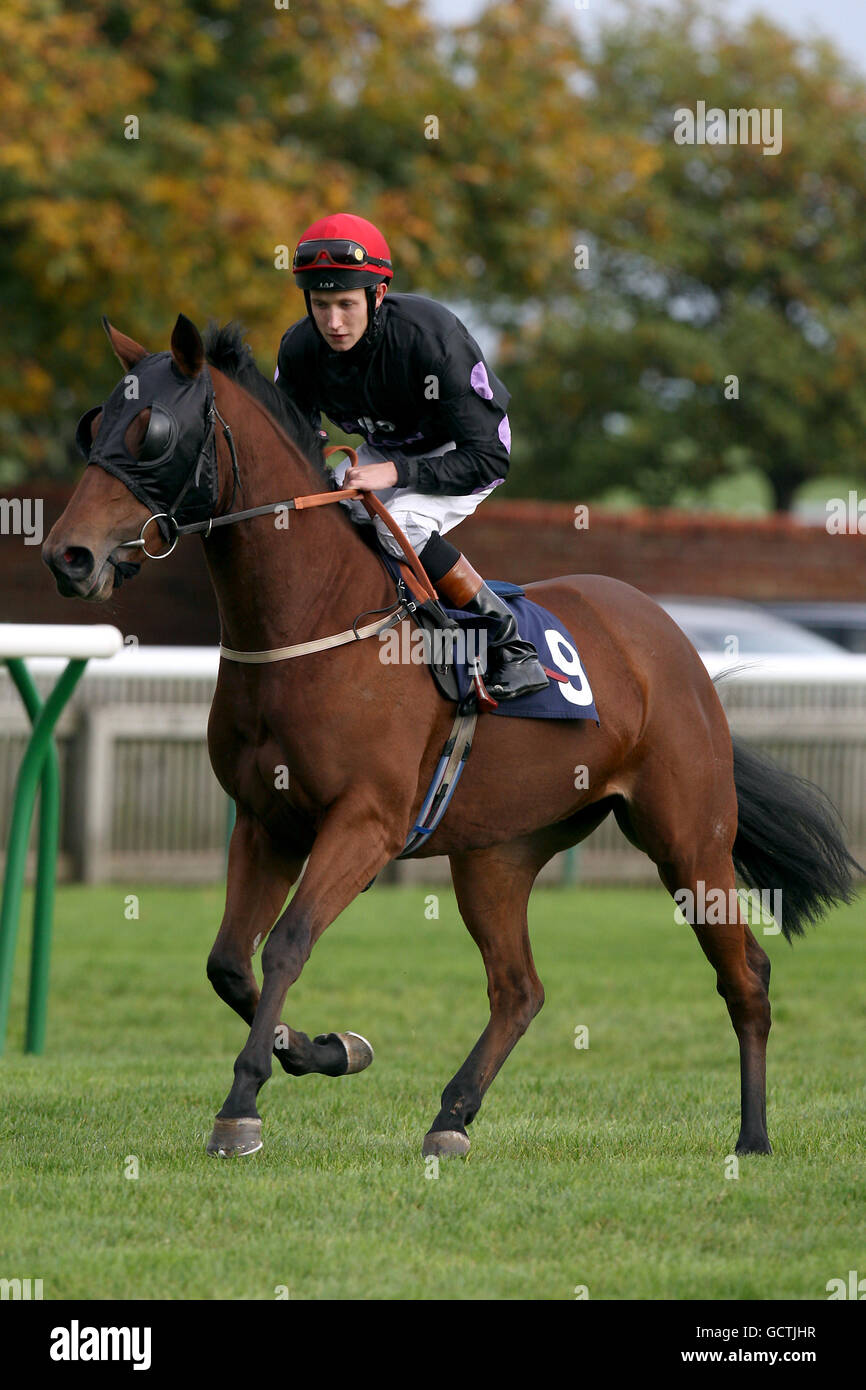 Jockey Toby Atkinson on Huckle Duckle goes to post for the Bet At ...